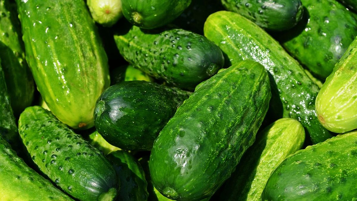 No tires la cáscara del pepino: cuáles son sus grandes beneficios para ...