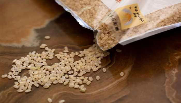World’s most expensive rice: What makes Kinmemai Premium so rare and ...