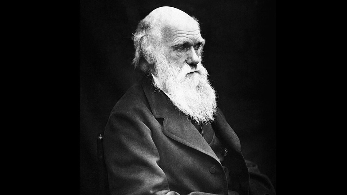 Quote of the day Charles Darwin: A man's friendships are one of the ...