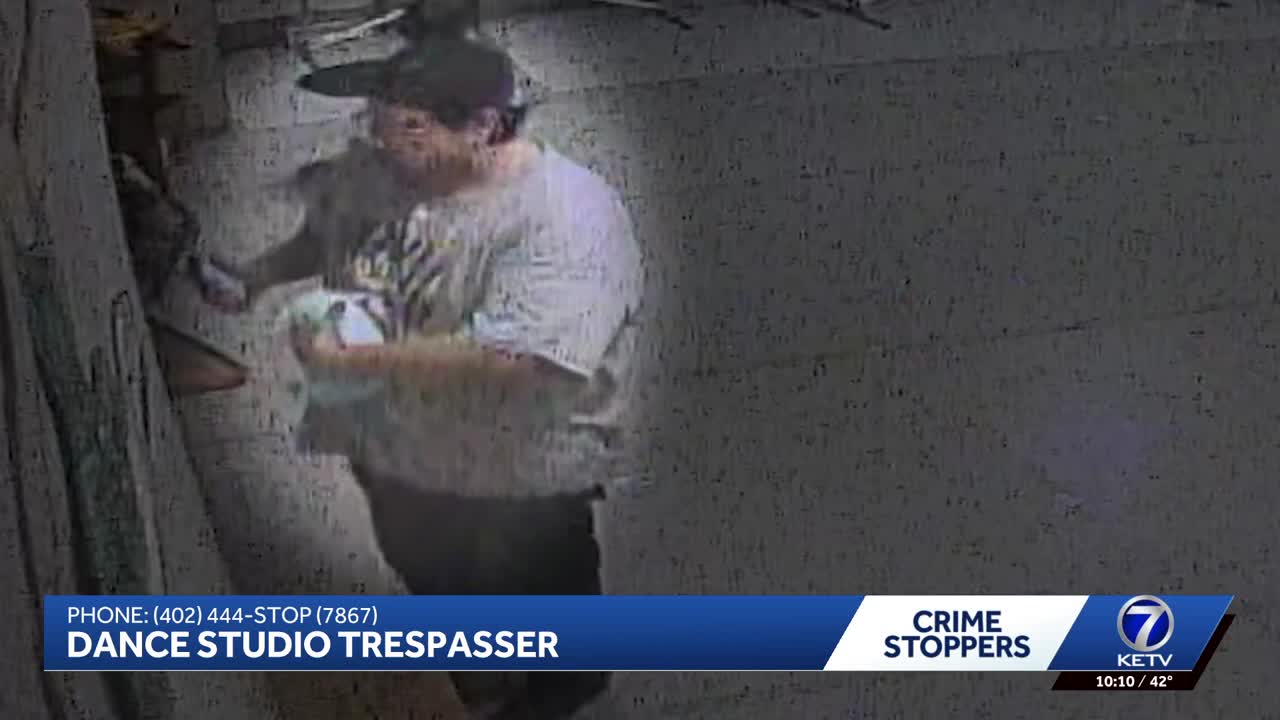 Caught on camera: Trespasser rubs stuffed animal, rummages through ...