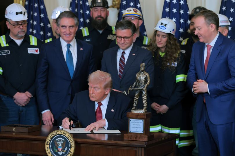 'Toddler-in-chief' Trump given another 'pathetic participation trophy ...