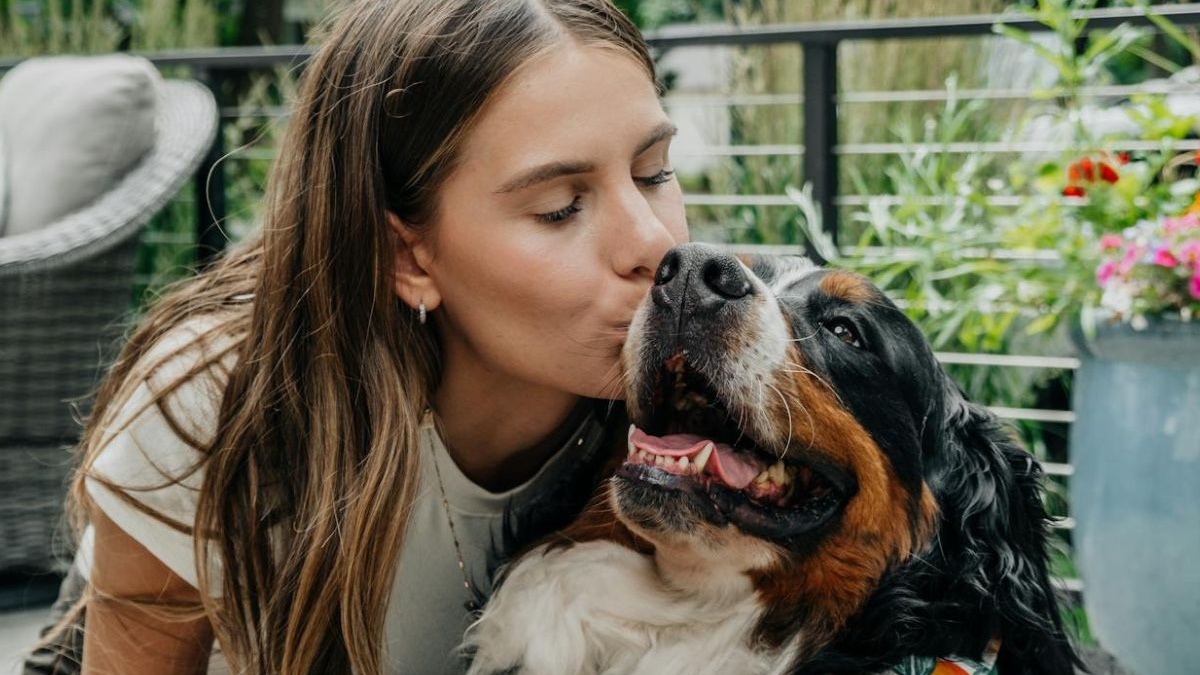 Your dog is crazy in love with you and here are the 5 proofs