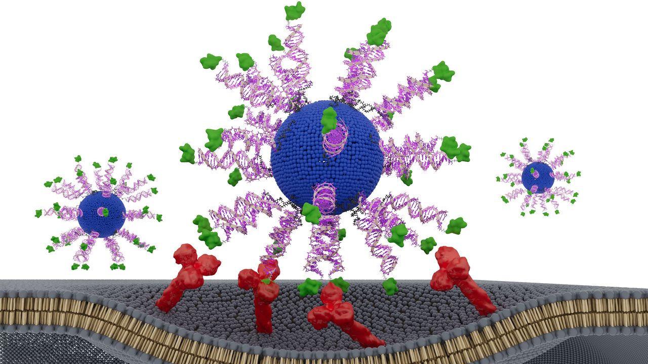 Cancer vaccine shows promise against HPV-related throat tumors in early ...
