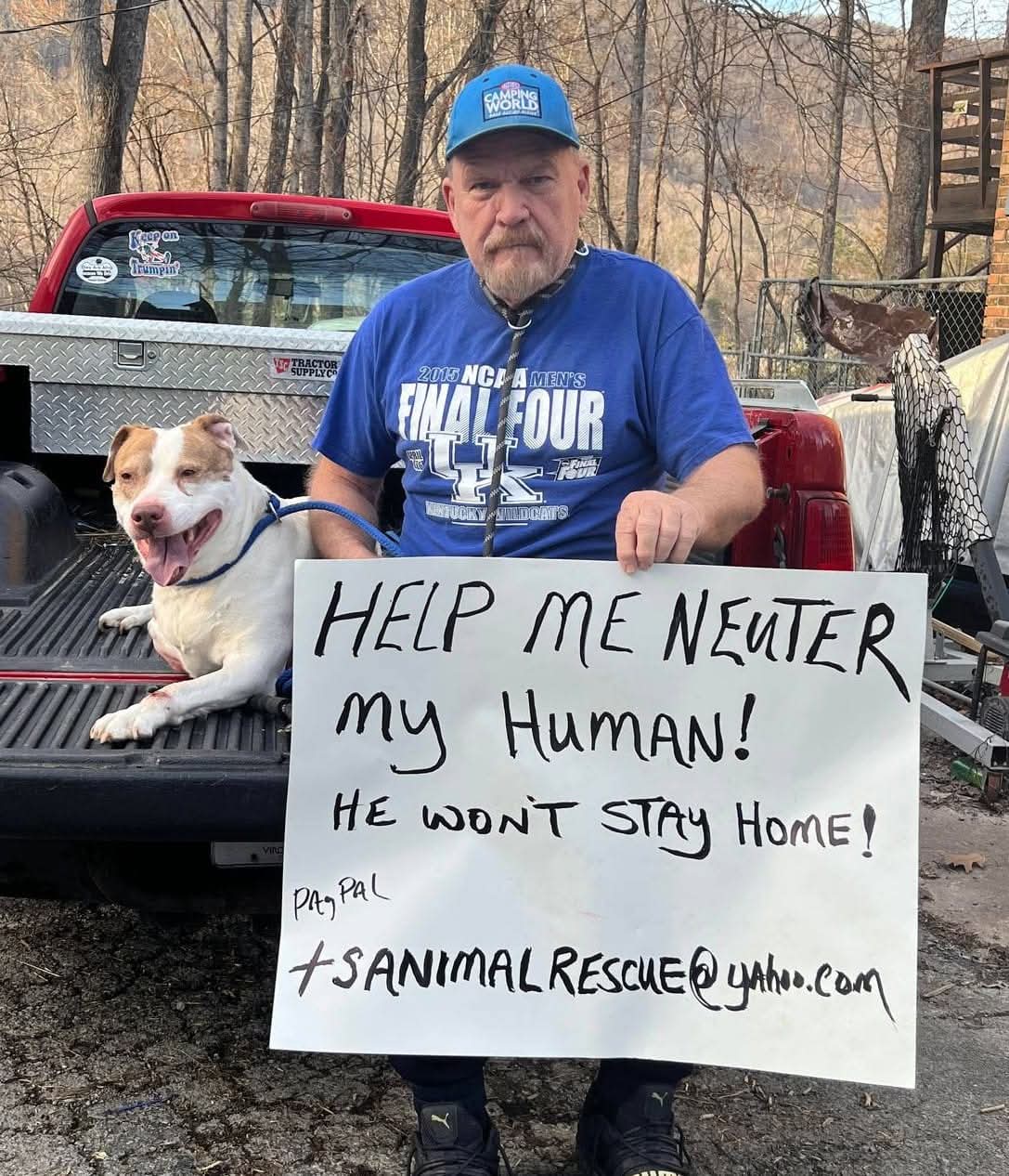 Animal rescue community remembers legacy of Chris Haverly, a crucial ...
