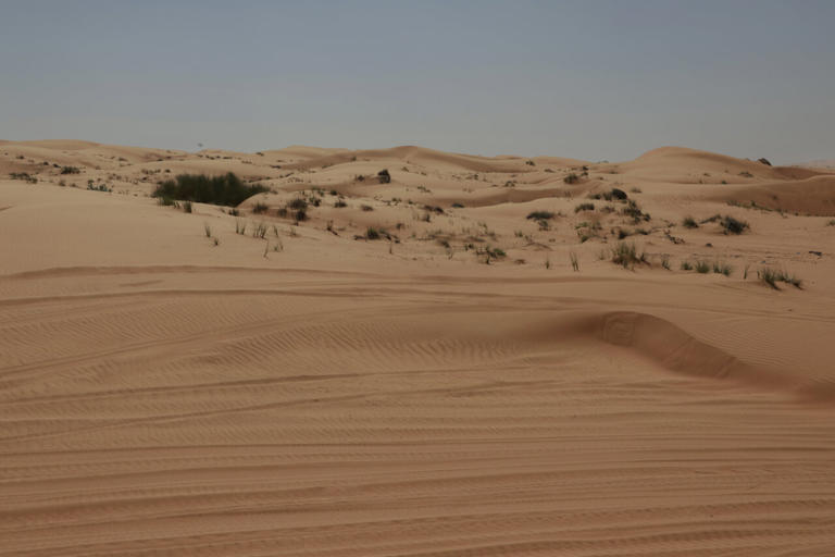 Scientists develop eco‑friendly bricks using desert sand to replace ...