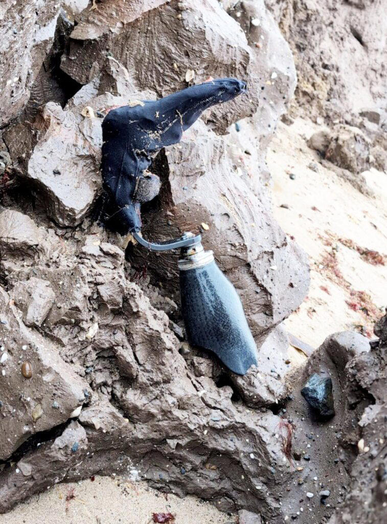 Swimmer’s prosthetic leg lost at sea found on beach 10 months later