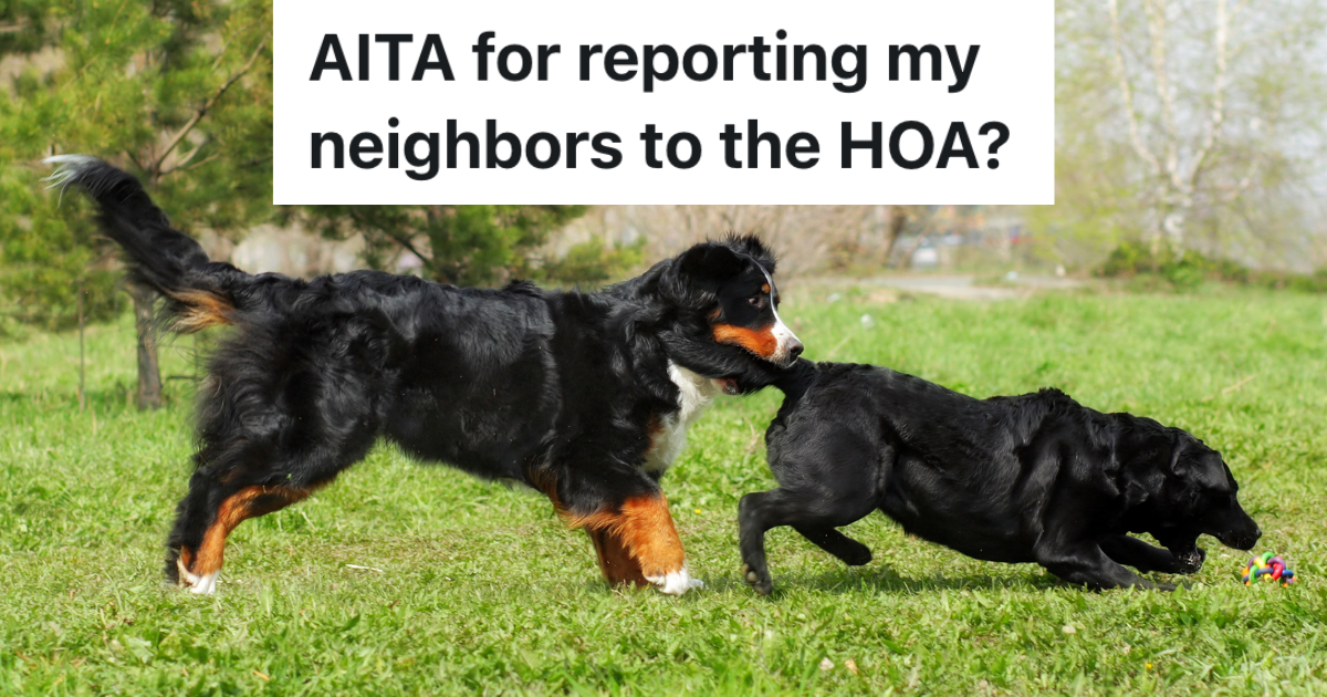 New neighbors don’t pick up after their dogs, so these homeowners ...
