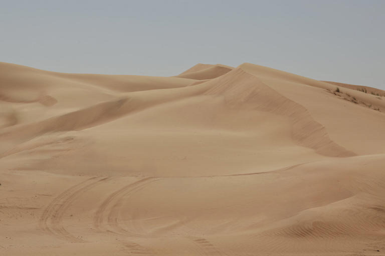 Scientists develop eco‑friendly bricks using desert sand to replace ...