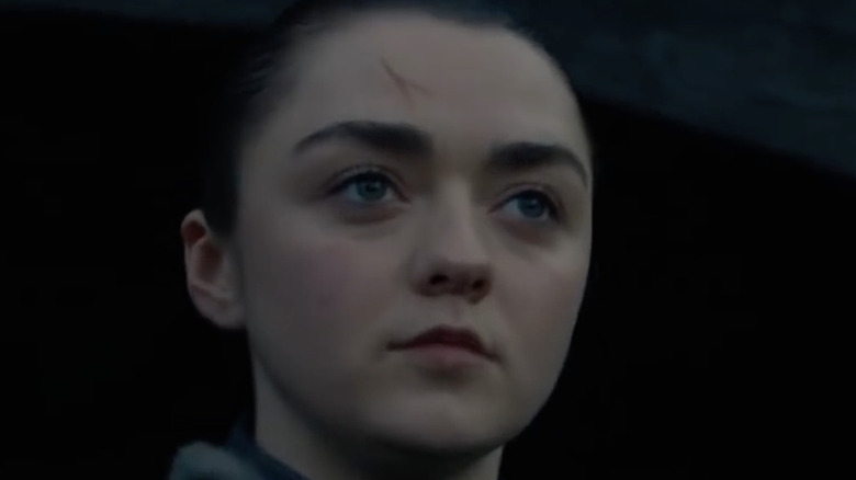 This is how Arya Stark is different in the Game of Thrones books