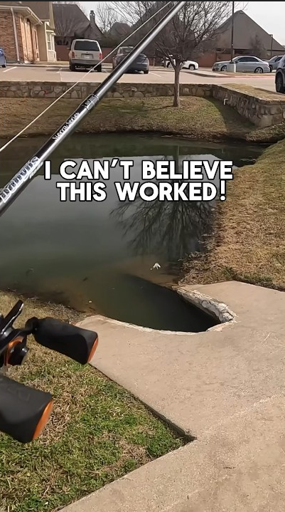 Big fish hiding in a culvert | Surprise bass catch