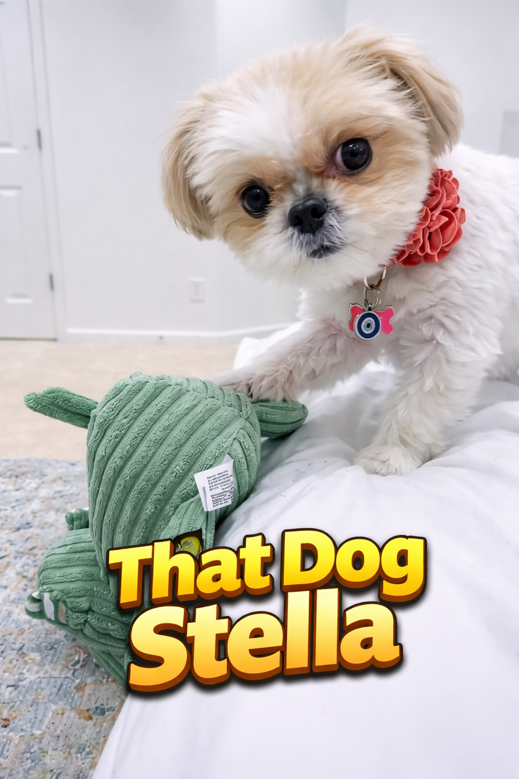 This dog is funny without trying