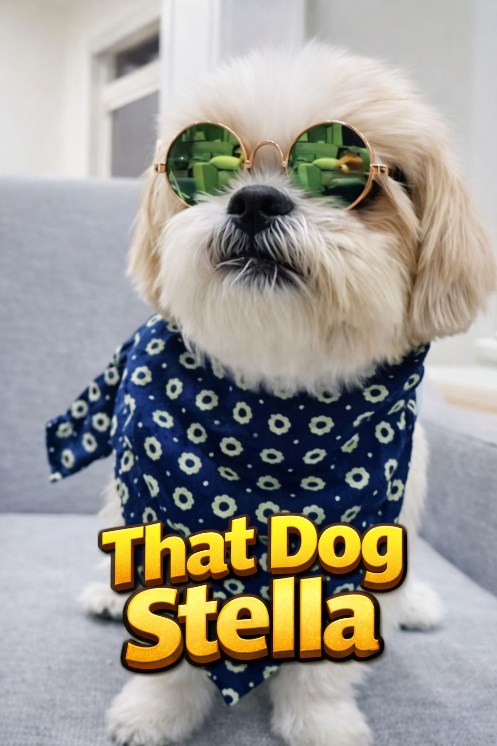 Random dog clips pure chaos energy