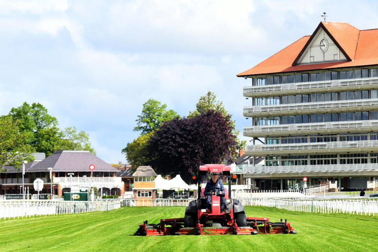 York Racecourse: It's official - the best racecourse in the country is ...