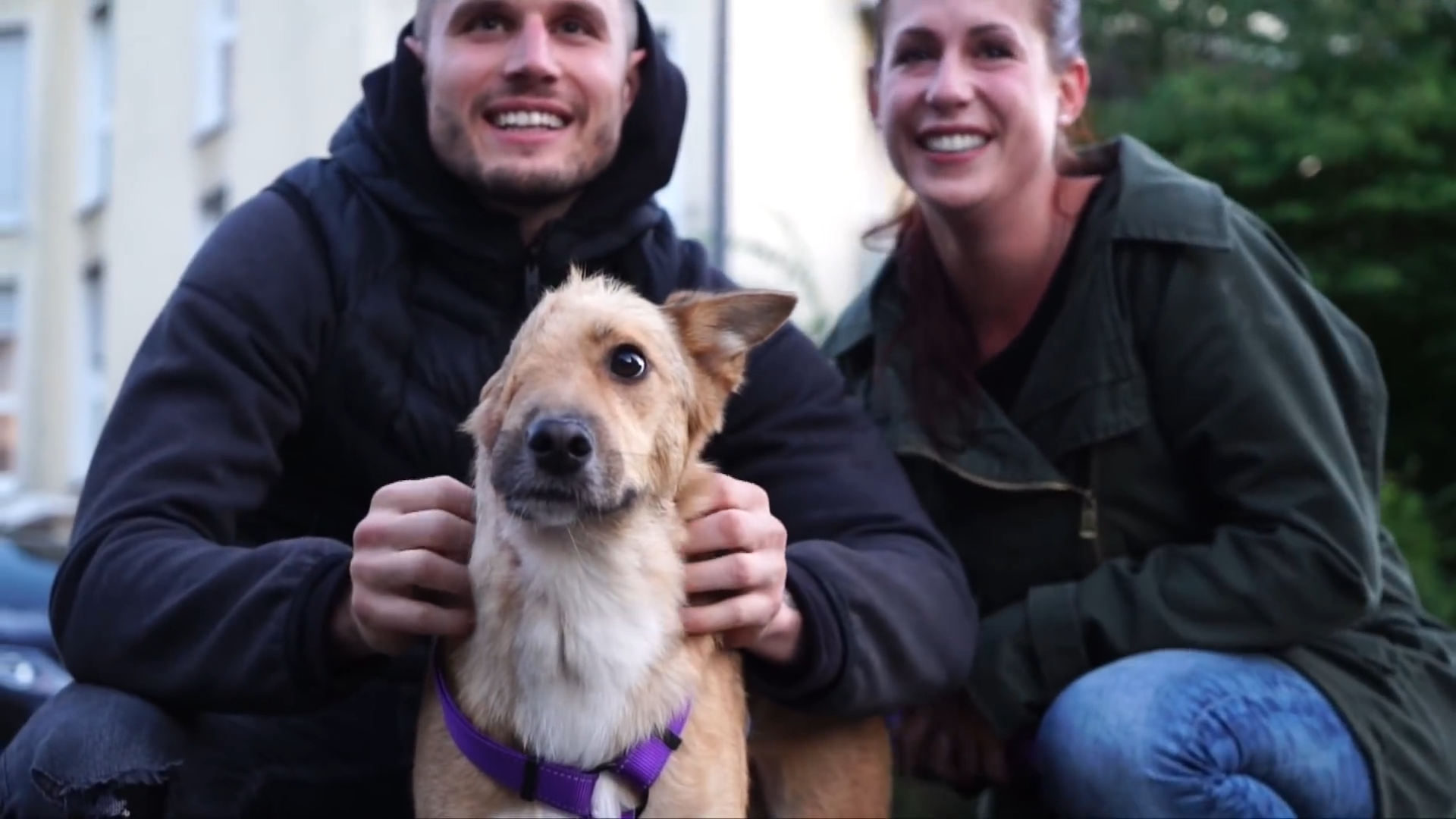 Dog that lost half his face meets his family again