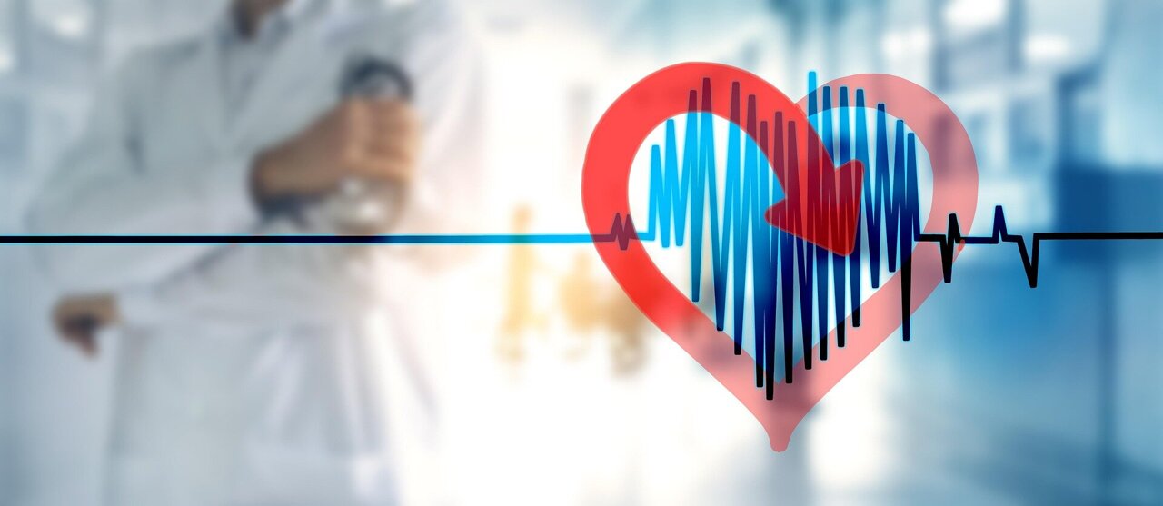 Non-contractile heart cells help sustain persistent atrial fibrillation ...