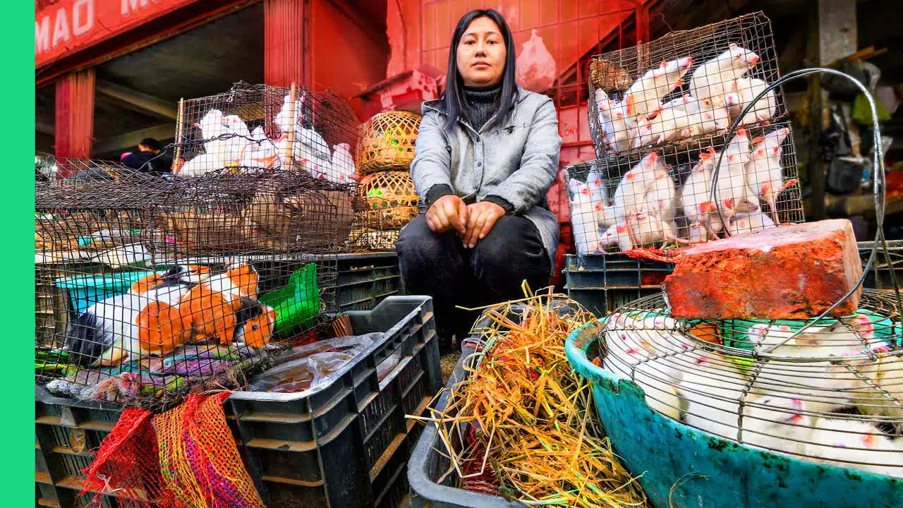Smoked rat meat hangs above open fires in Nagaland market
