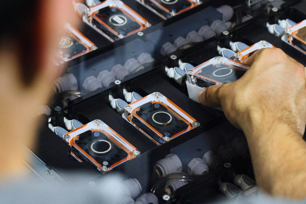 Creator of first brain chip says technology is at a 'tipping point'