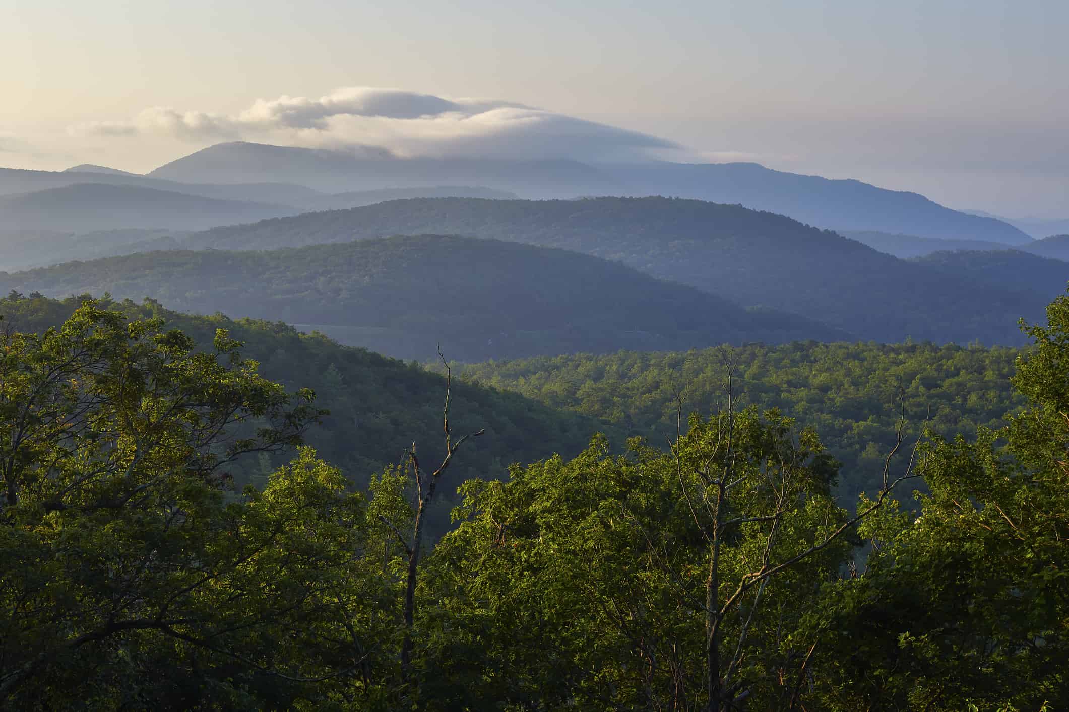 Explore the oldest mountain ranges on Earth