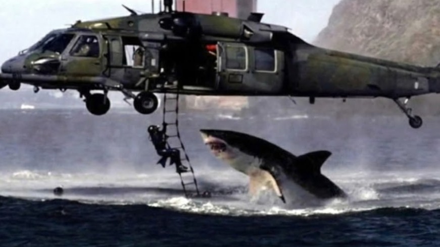 How a Black Hawk drill became “the most terrifying shark photo ever taken”