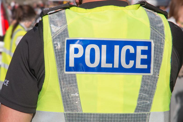 Cambridgeshire woman stalked victim with cameras hidden in hedge for 7 ...