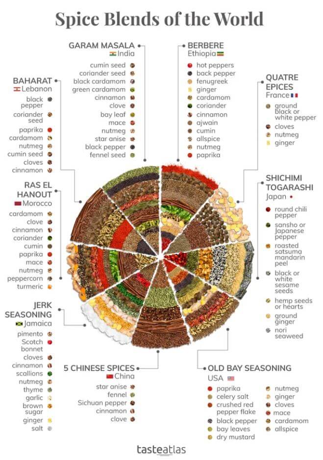 20+ infographics that turn everyday questions into simple answers