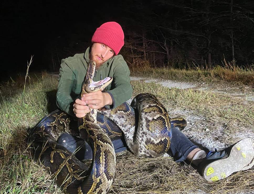 Hunting pythons in Florida requires knowing more than you think