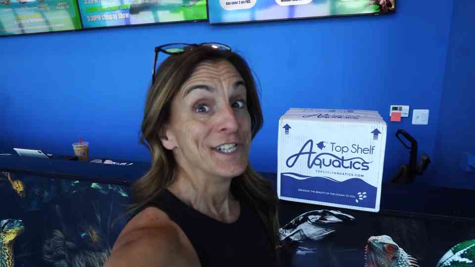 New sea anemones arrive and every step matters