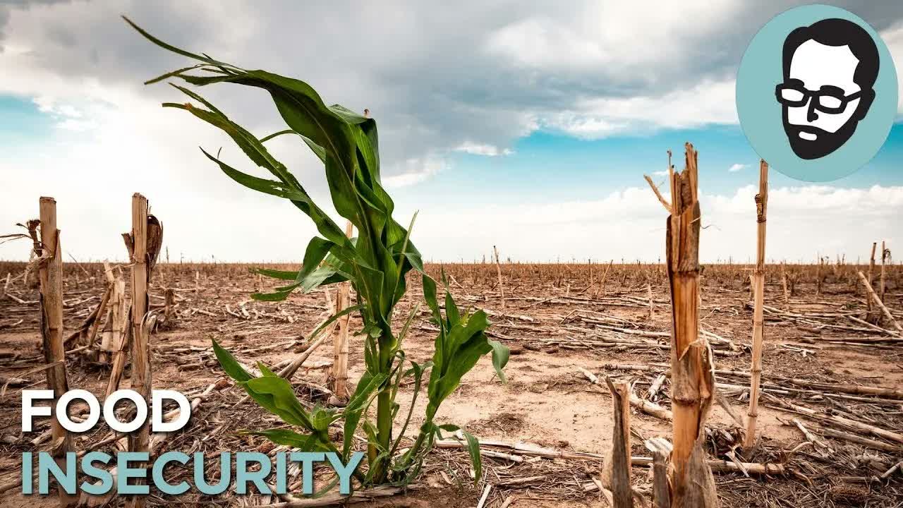 This farming method claims to heal the land