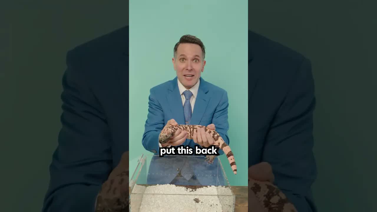 These animals are illegal