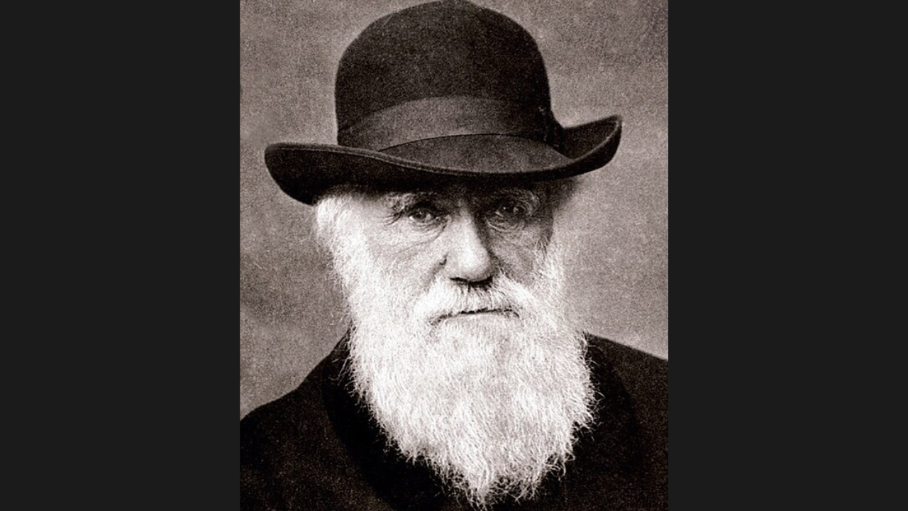 The surprising way young Charles Darwin predicted modern gardening trends