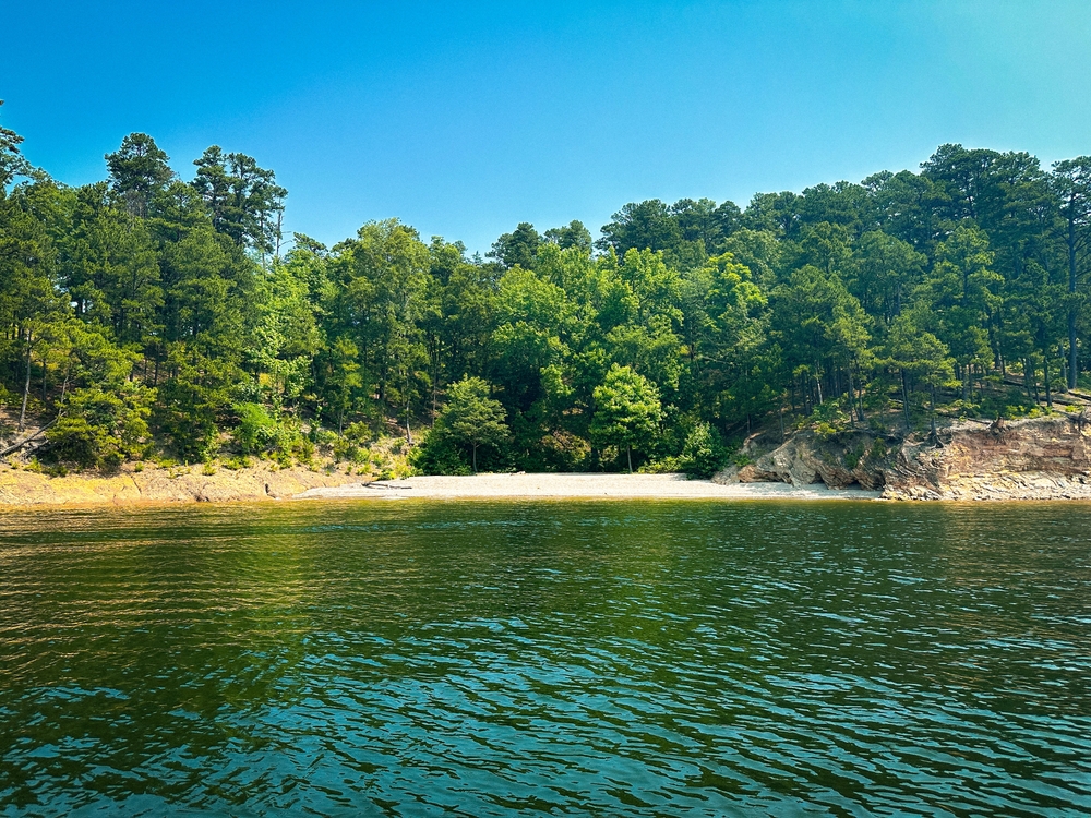 Arkansas’s largest lake sits in a rare mountain range — with a forest ...
