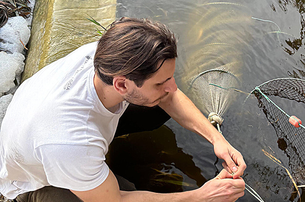 Silver European eel discovered in Cyprus for the first time