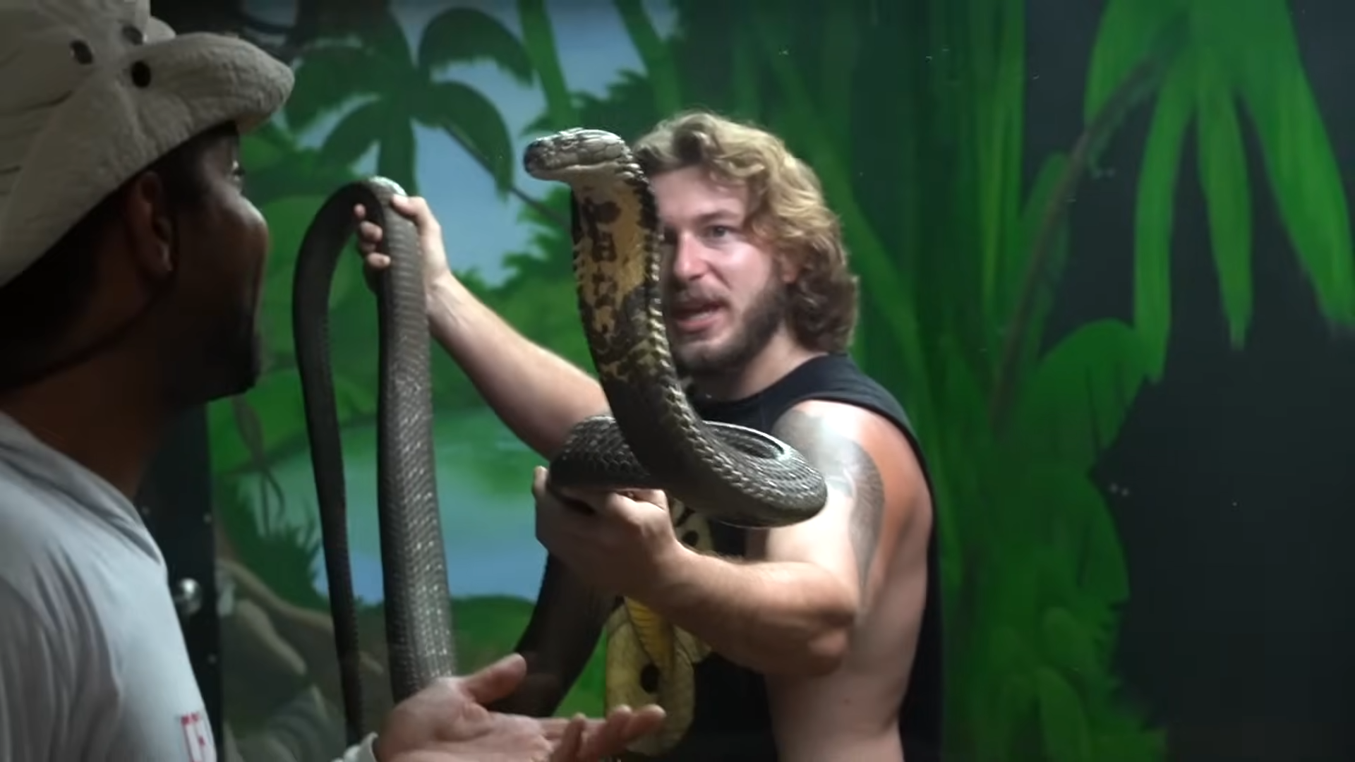 King cobra strike caught on camera