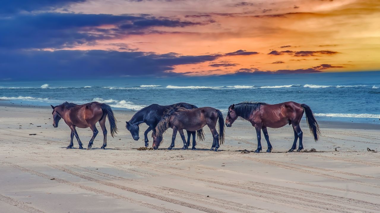 Why 7 million people keep coming back to a thin strip of North Carolina ...
