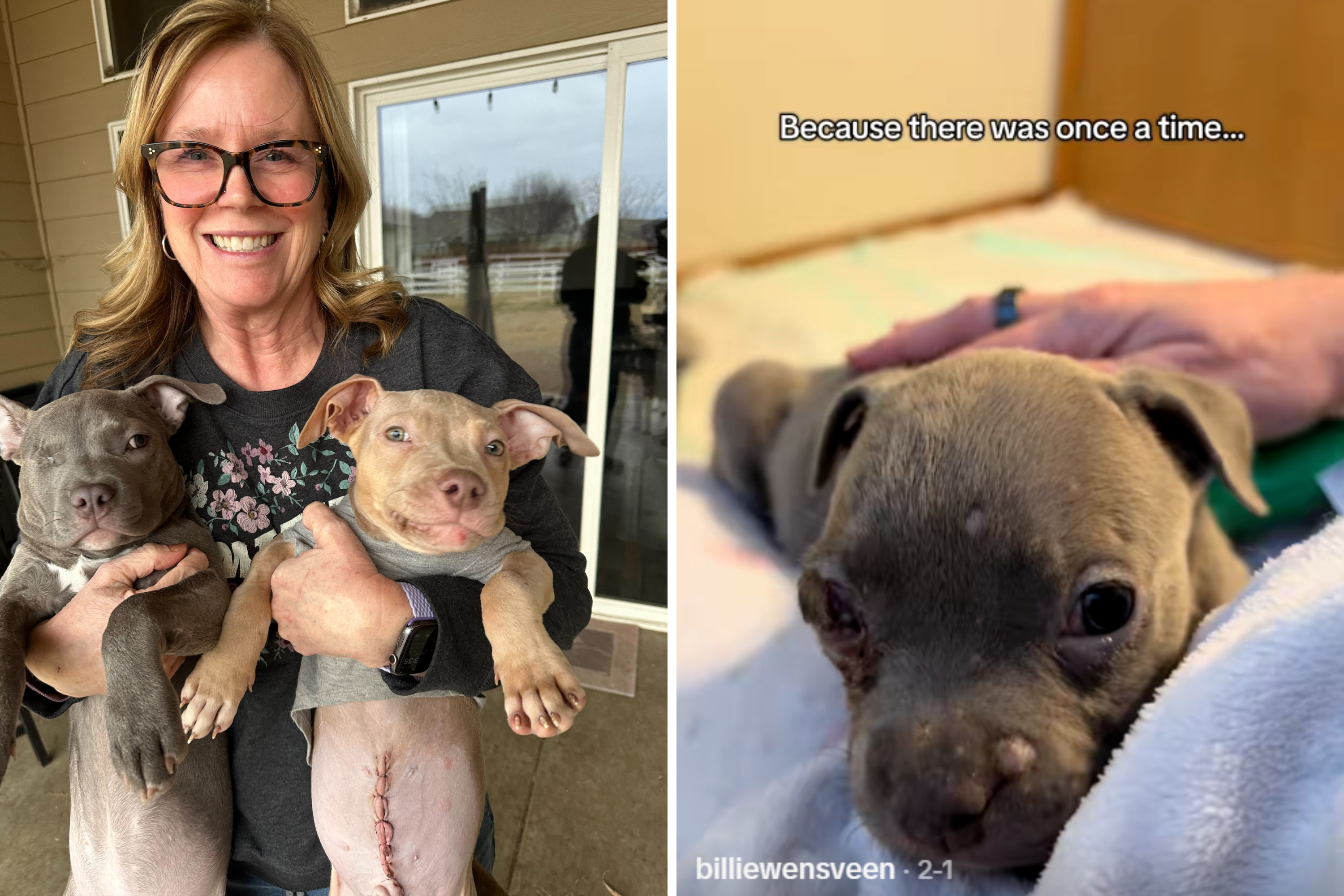 Tiny foster puppy with one eye grows up, tears over why it means so much