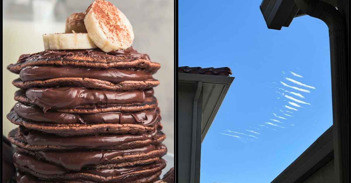 Fun photos and memes to get you through the work week