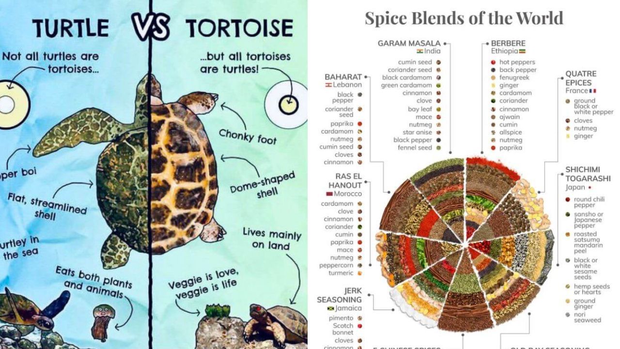 15 powerful infographics that reveal the bigger picture