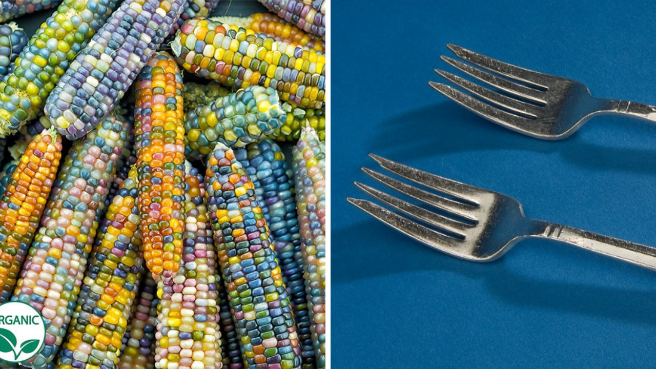 28 super weird food facts from history