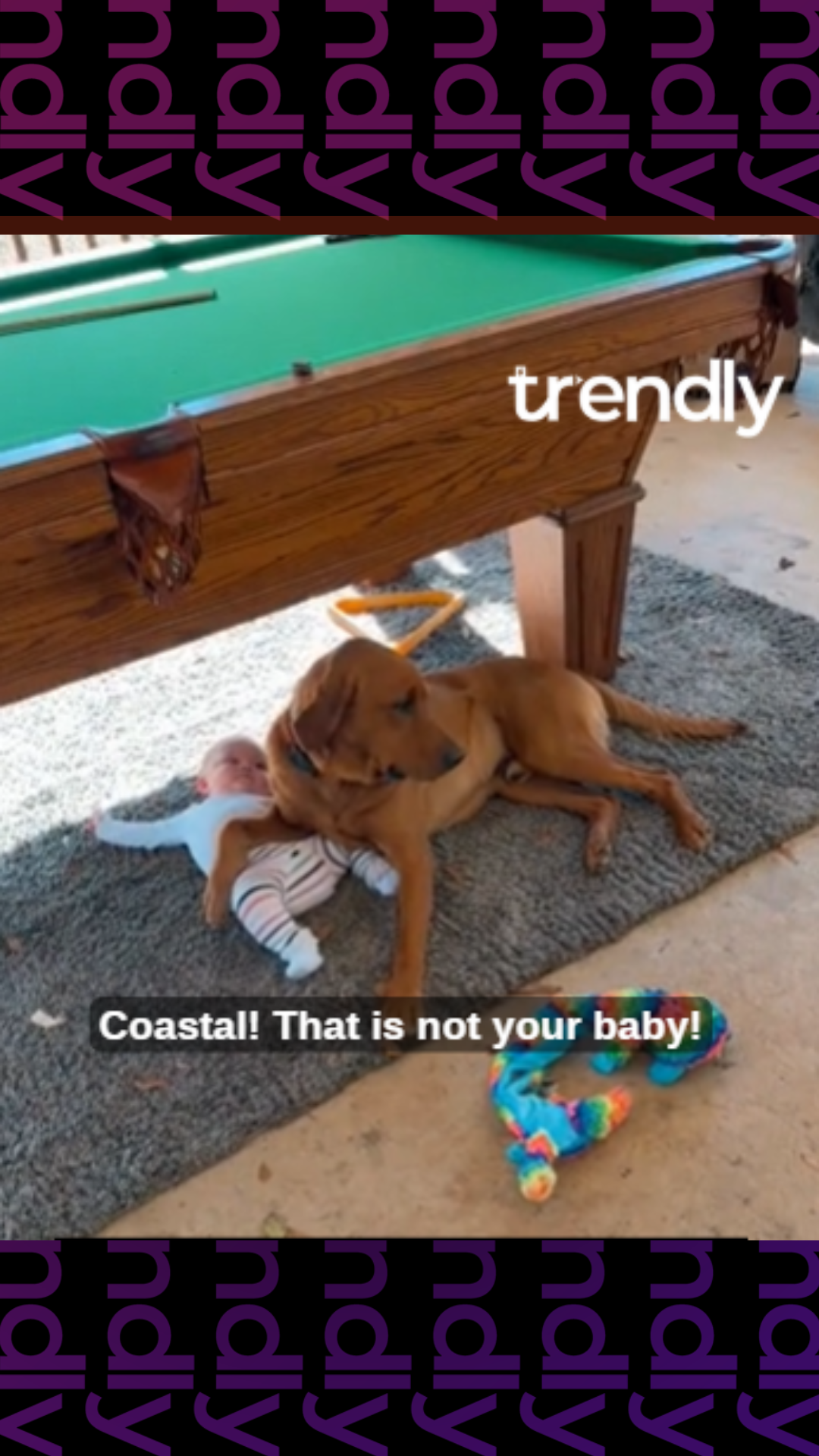 Adorable video of possessive dog and baby girl