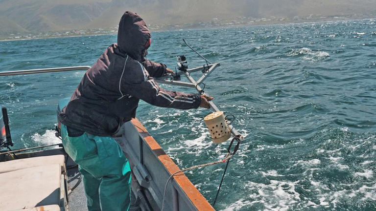 Small-scale fishing sector takes up allocations fight to Parliament