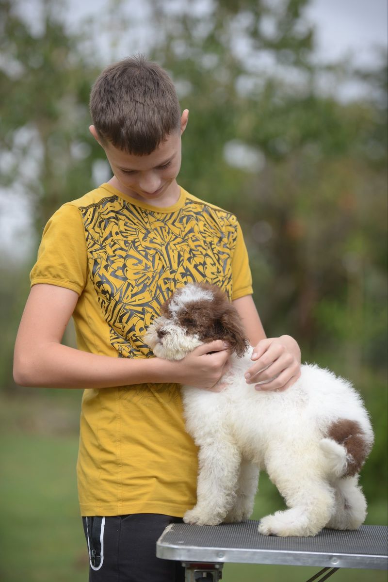 Calm dogs that are actually shut down are triggering debates – 12 ...