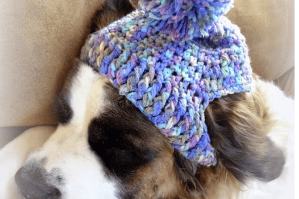 Free crochet dog hat