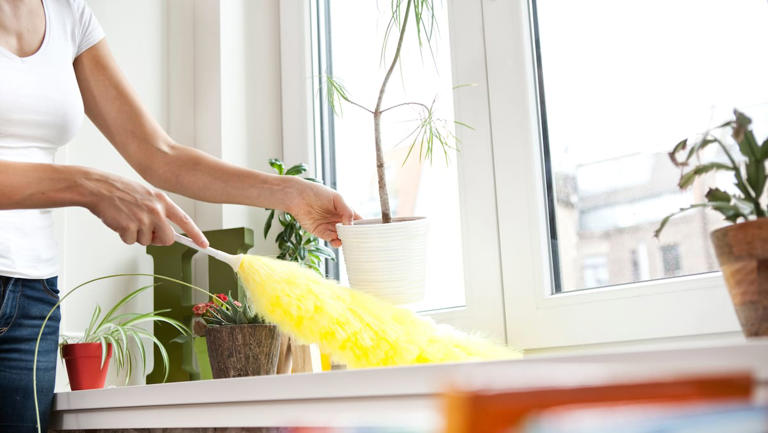 Wunderbar Weniger Staub In Der Wohnung Bild