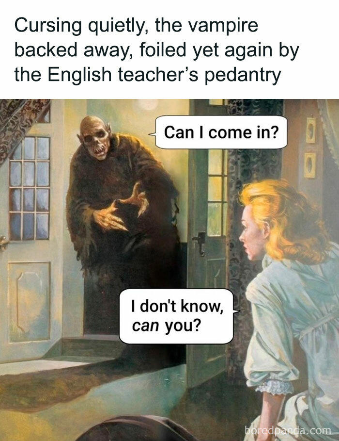 35 strange and funny photos from the internet, as shared on this ...