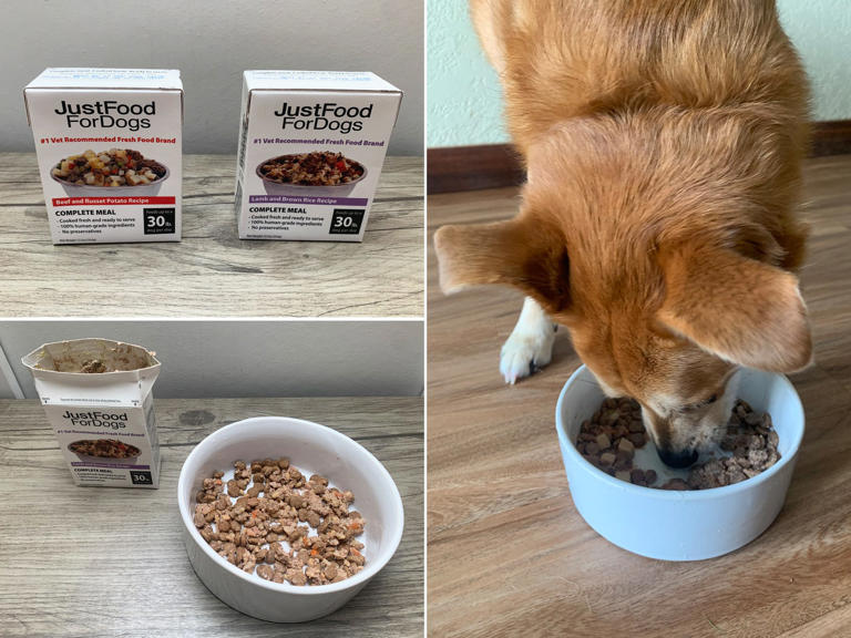 The best dog food toppers for picky eaters