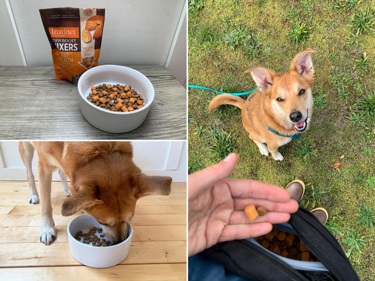 The best dog food toppers for picky eaters