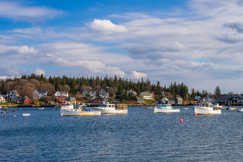 This car-free Maine island has old-growth forests, quarry pools and ...