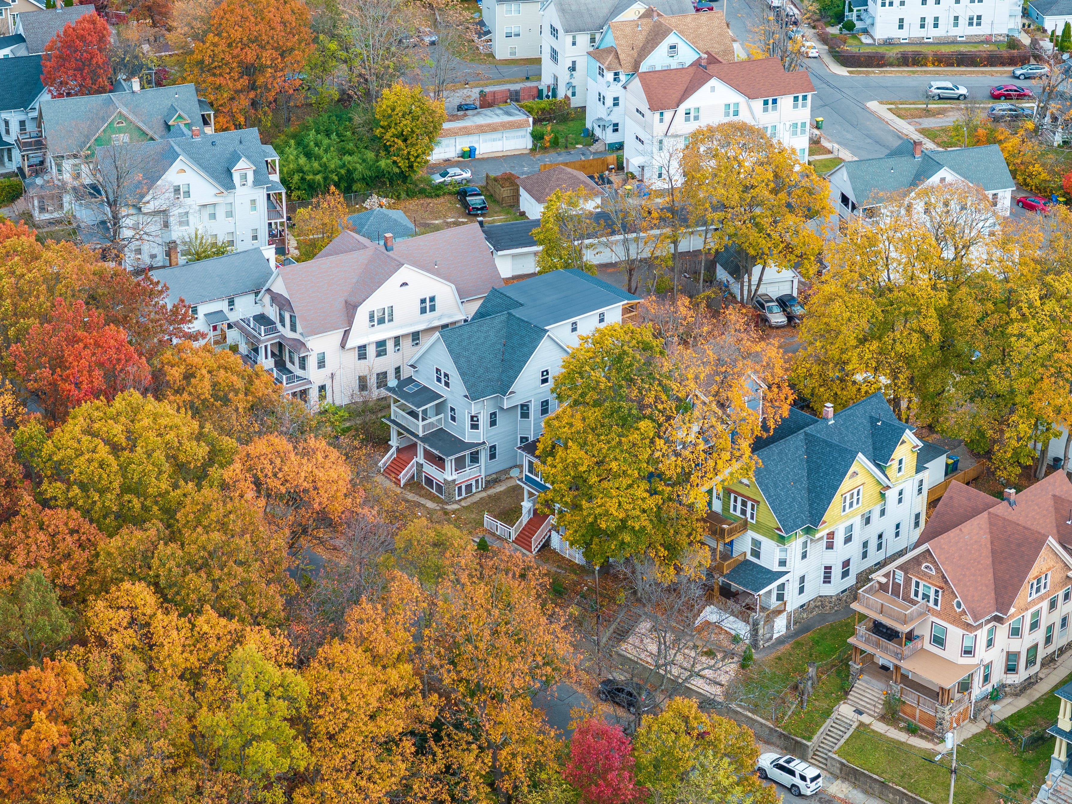 We left New York City for the Connecticut suburbs. Our family gained ...