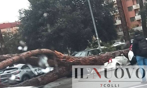 Maltempo a Roma, crolla un altro albero: colpite 3 auto, tragedia ...