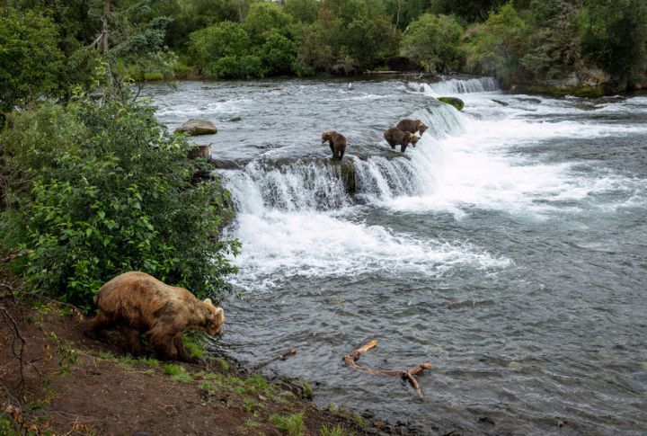The most gorgeous waterfall in every state
